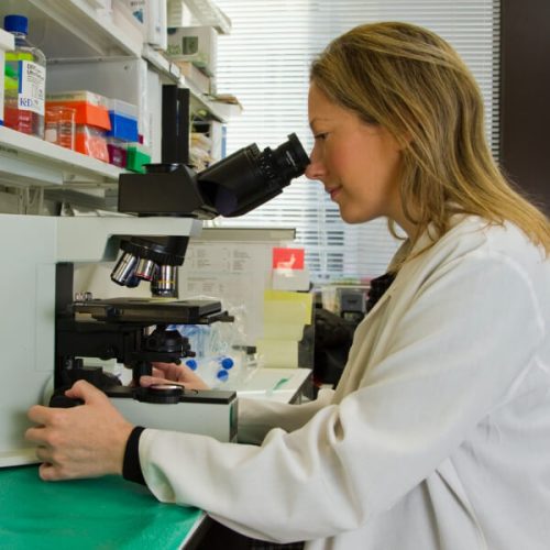 Research & Development – Innovid