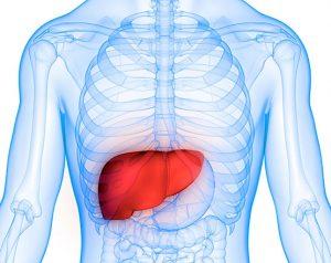 Innovid – Soluciones innovadoras para mejorar y conservar la vida